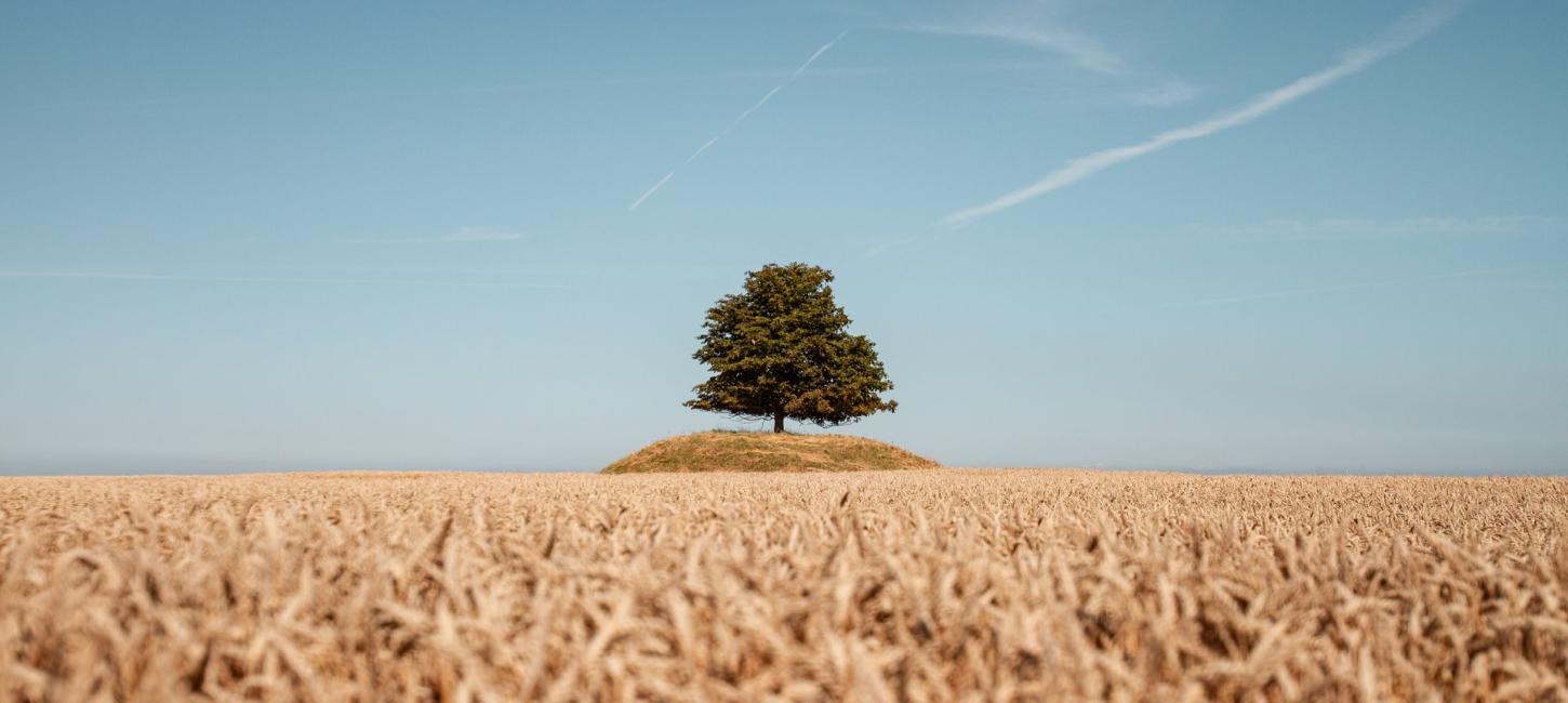 'Flyrejser, klima og kompensation' | Partnerskab for bæredygtig ...